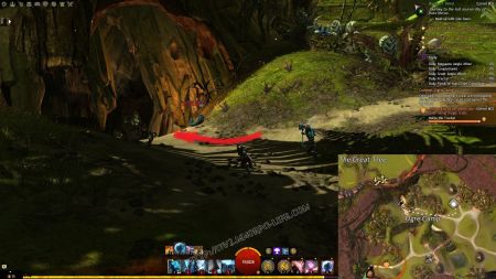 Tangled Depths Interactive Map