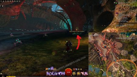 Tangled Depths Interactive Map