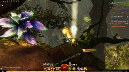 Tangled Depths Interactive Map