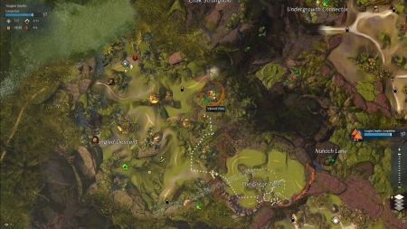 Tangled Depths Interactive Map